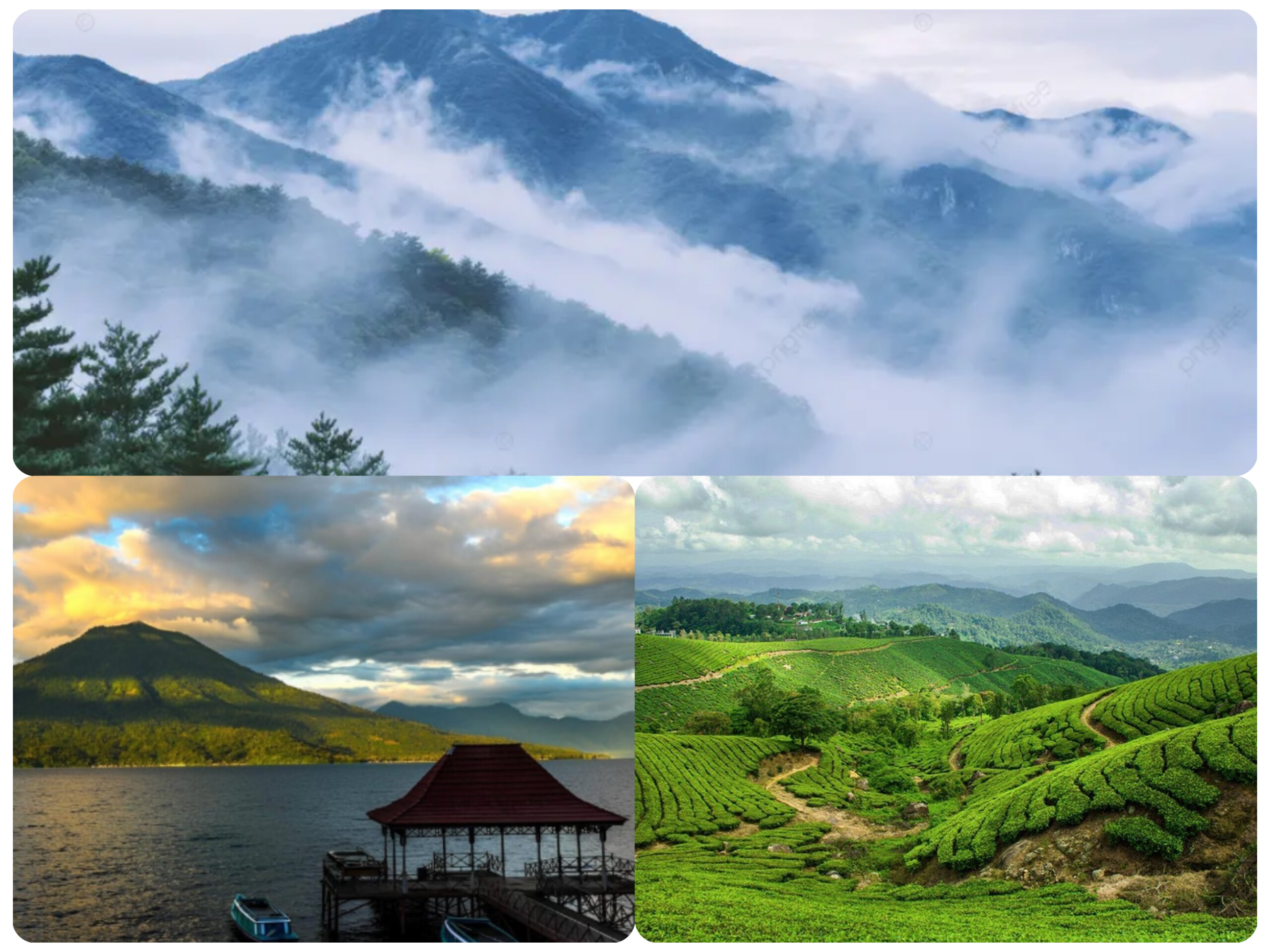 Dengan Suhu Dingin, Panorama Hijau, dan Udara Segar, Ini 2 Lokasi Wisata Sejuk di Sumsel